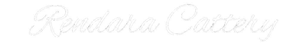 Rendara Cattery – Cats, Kittens, New Zealand